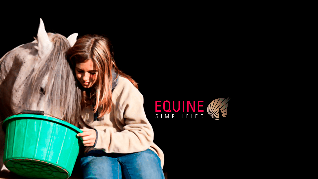 Bran Mash for Horses - Is it Helpful? - Equine Simplified